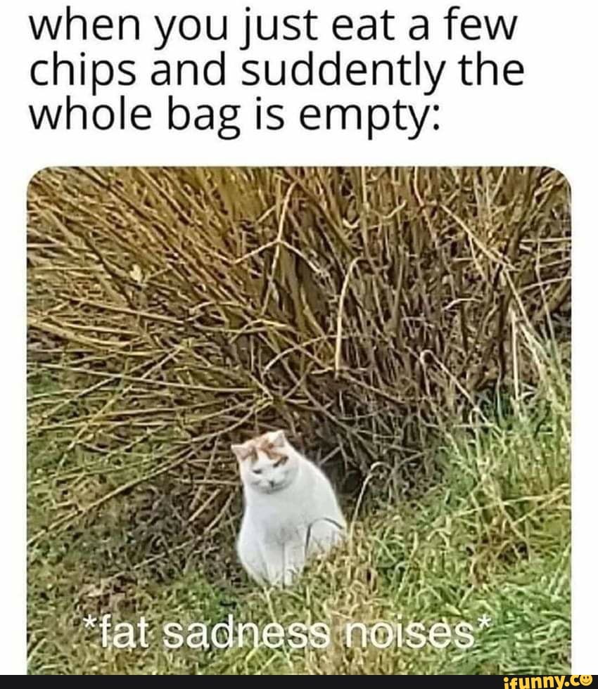 When you just eat a few chips and suddently the bag is empty: - iFunny
