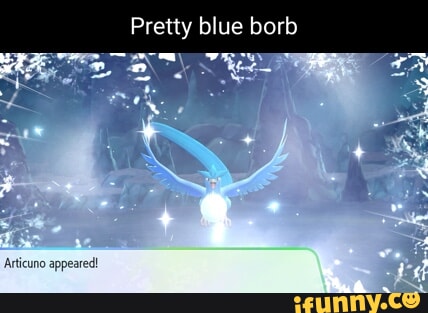 Borb memes. Best Collection of funny Borb pictures on iFunny