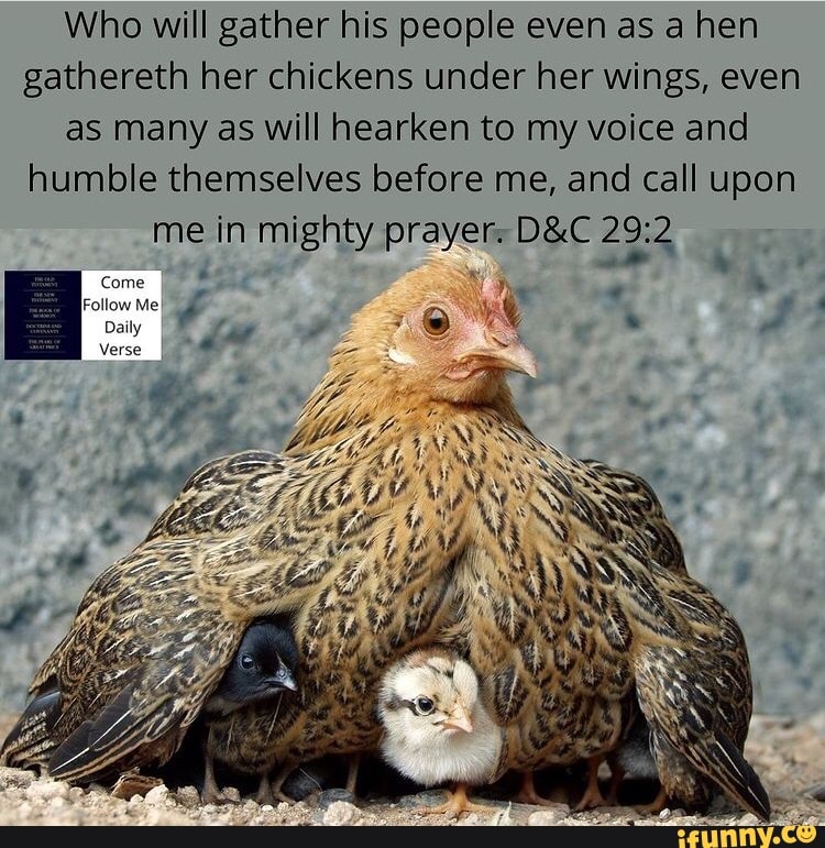 Gathereth memes. Best Collection of funny Gathereth pictures on iFunny