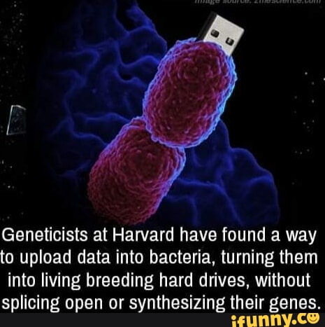 Splicing memes. Best Collection of funny Splicing pictures on iFunny