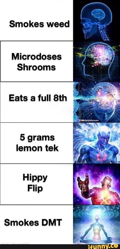 Lippy memes. Best Collection of funny Lippy pictures on iFunny