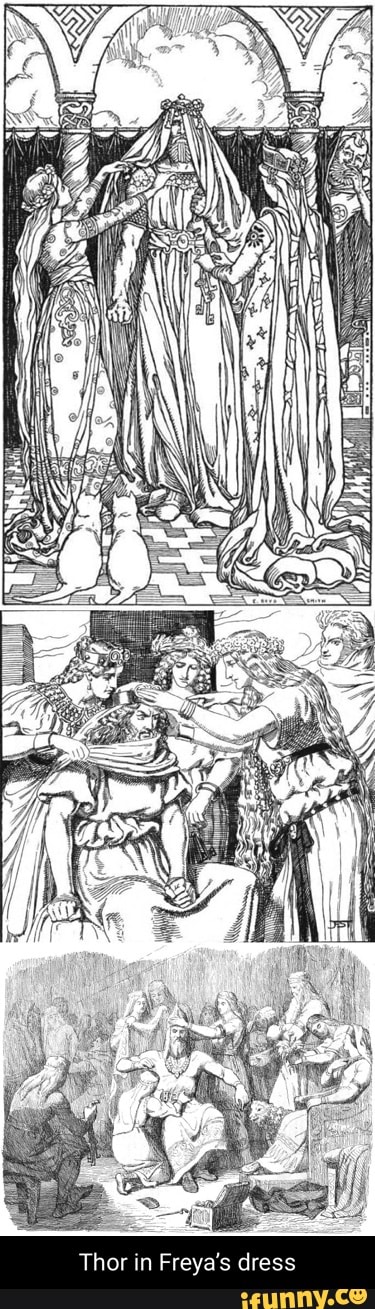 Freyas memes. Best Collection of funny Freyas pictures on iFunny