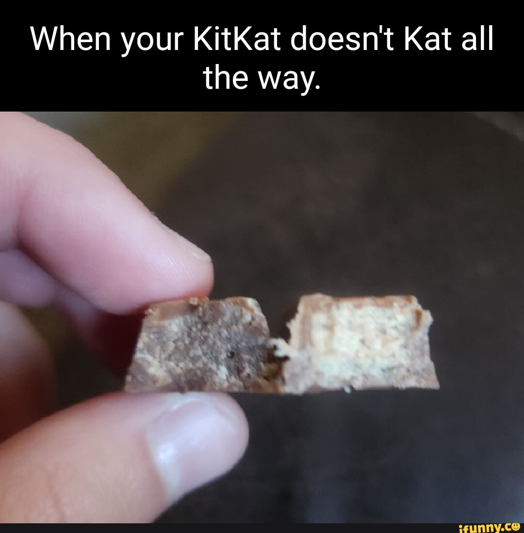 Kitkat memes. Best Collection of funny Kitkat pictures on iFunny