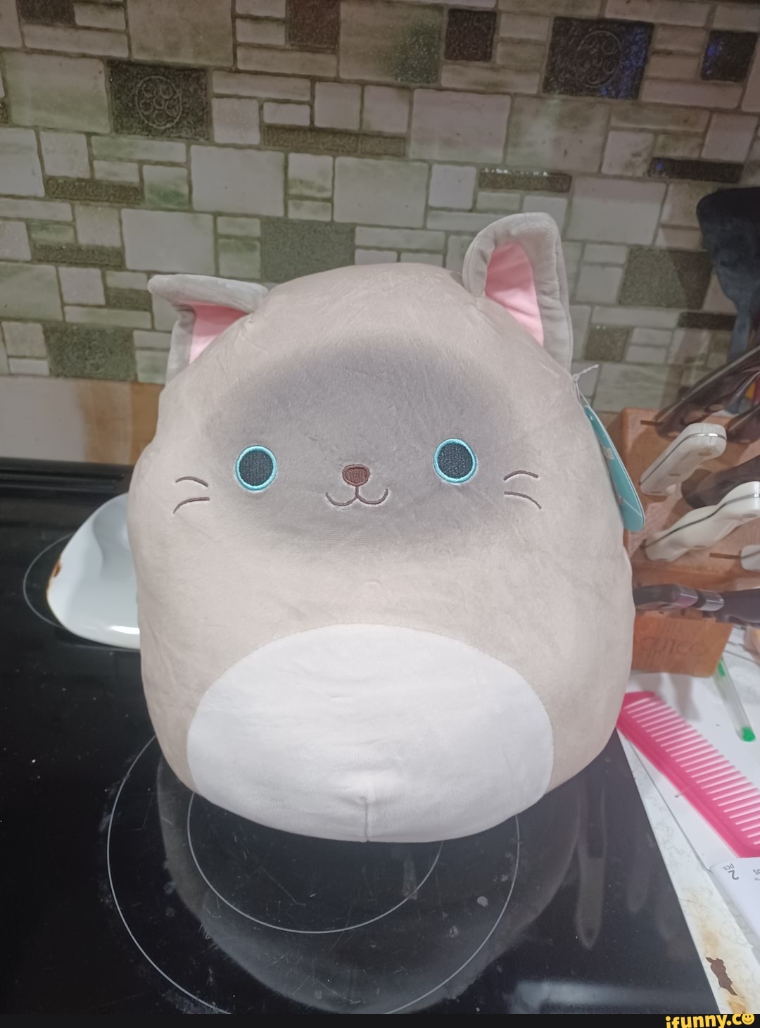 Squishmallow memes. Best Collection of funny Squishmallow pictures on ...