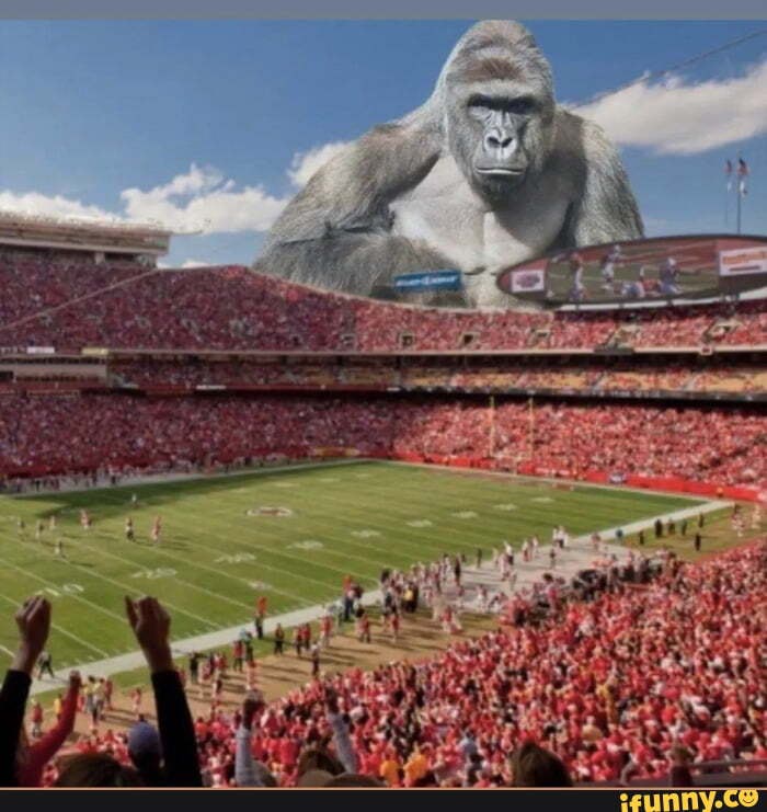 Former_site_of_municipal_stadium memes. Best Collection of funny Former ...