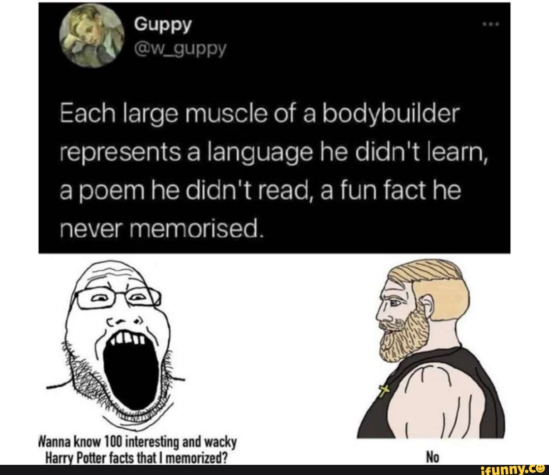 Guppy Each large muscle of a bodybuilder represents a language he didn ...
