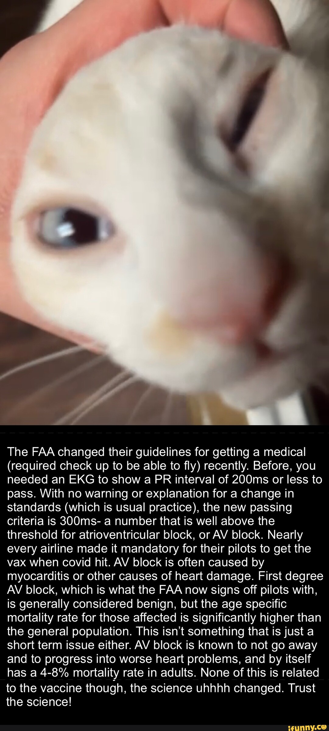 Ekg memes. Best Collection of funny Ekg pictures on iFunny