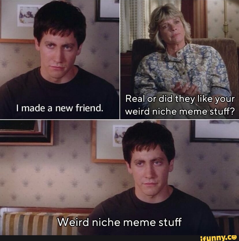 Real or did they like your weird niche meme stuff? made new friend ...