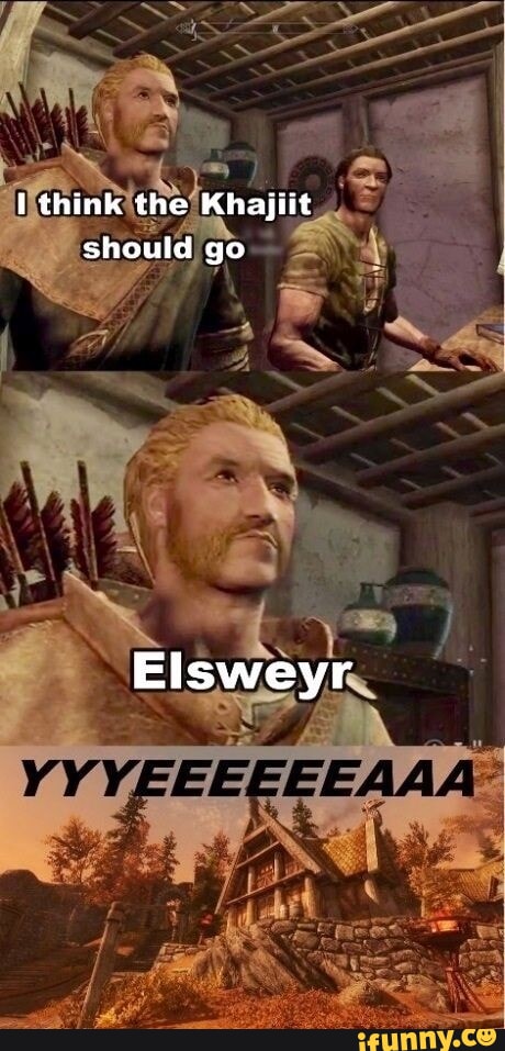 Elsweyr memes. Best Collection of funny Elsweyr pictures on iFunny