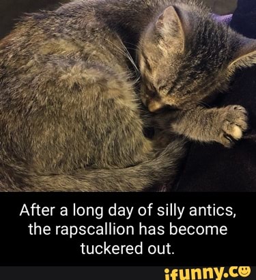 Rapscallion memes. Best Collection of funny Rapscallion pictures on iFunny