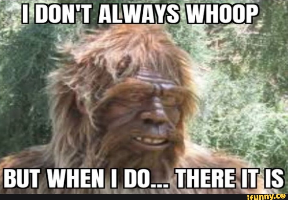 'LDON'T ALWAYS WHOOP BUT WHEN I DO... THERE IT IS - iFunny