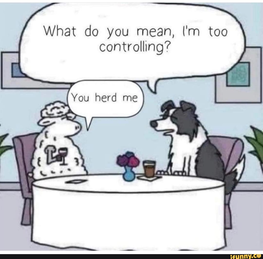 What do you mean, I'm too controlling? You herd me - iFunny
