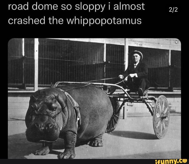 Road dome so sloppy i almost crashed the whippopotamus - iFunny