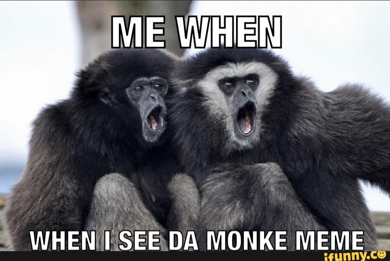 WHEN SEE DA MONKE MEME - iFunny