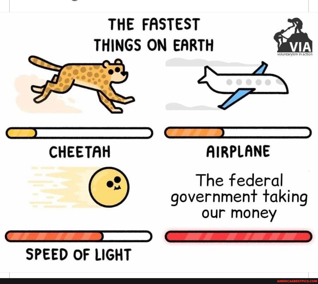 THE FASTEST THINGS ON EARTH Xs CHEETAH AIRPLANE The federal government ...