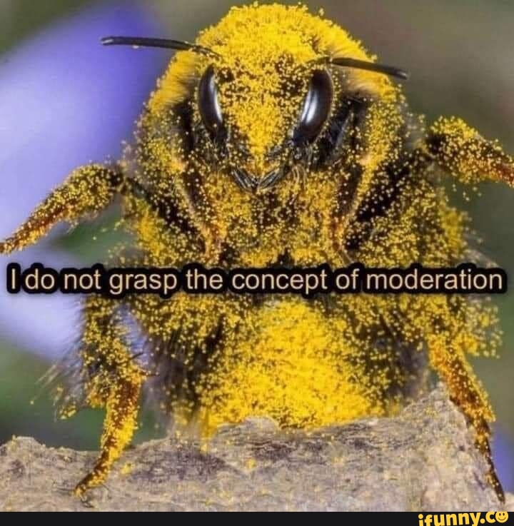 'do not grasp the concept of moderation - iFunny