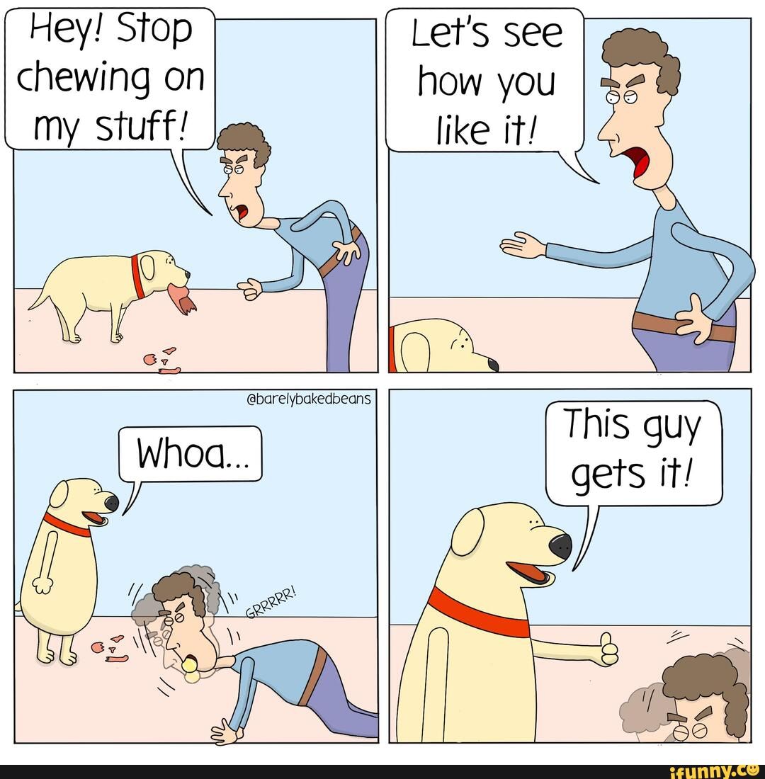Hey! Stop chewing on my Stuff! Let's see how you like it! gets it! - iFunny