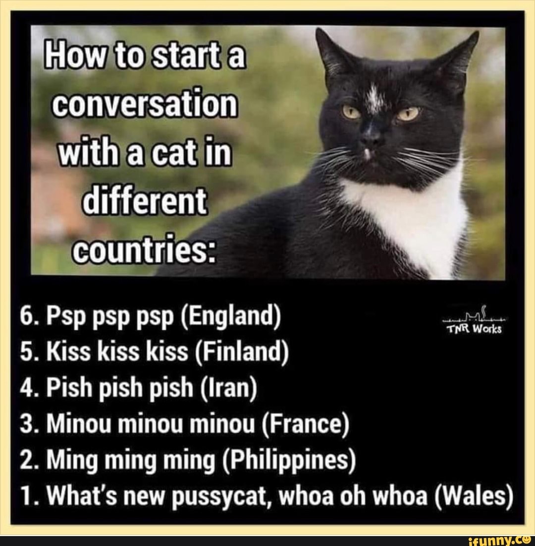 Pish memes. Best Collection of funny Pish pictures on iFunny