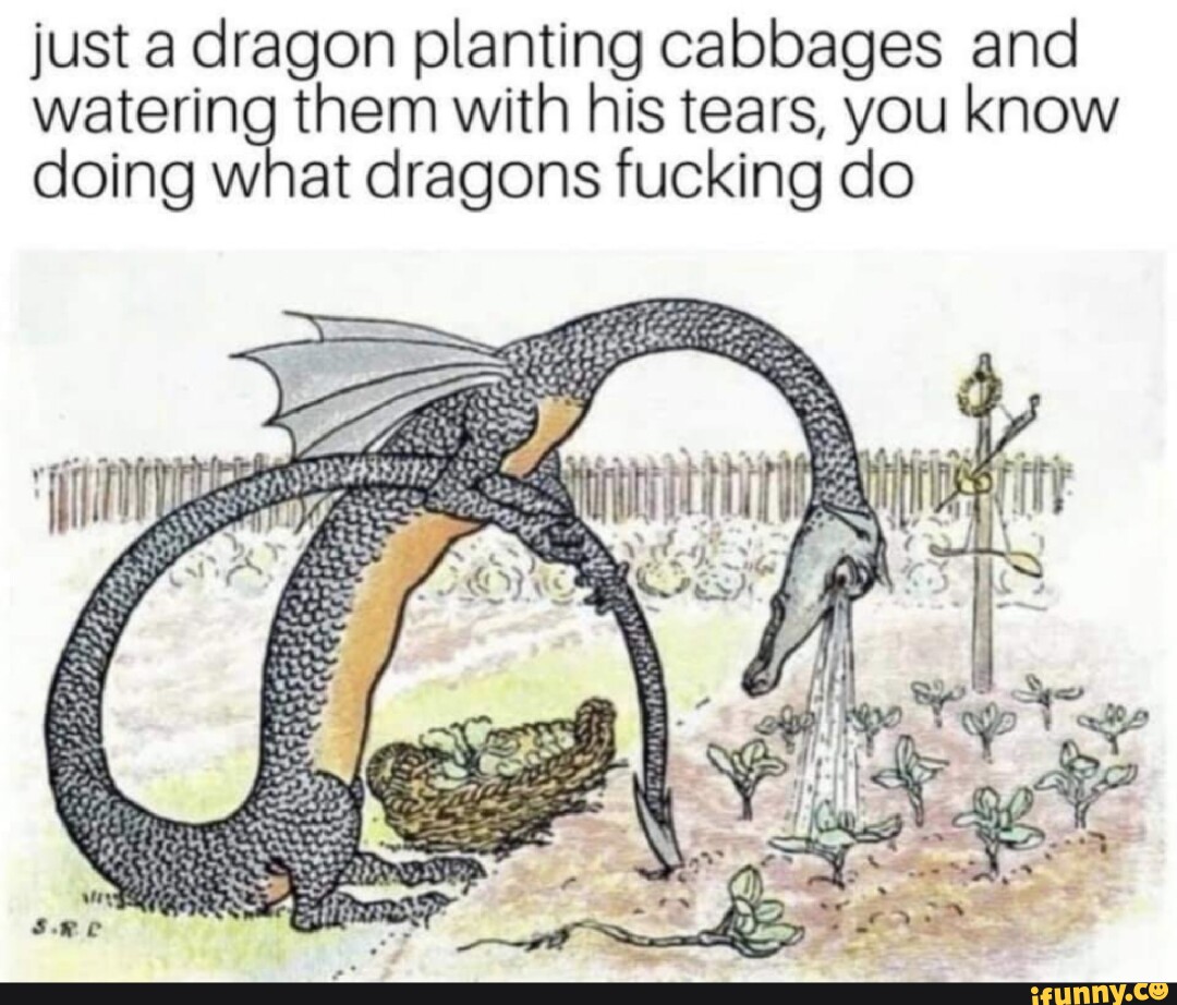 Cabbages memes. Best Collection of funny Cabbages pictures on iFunny