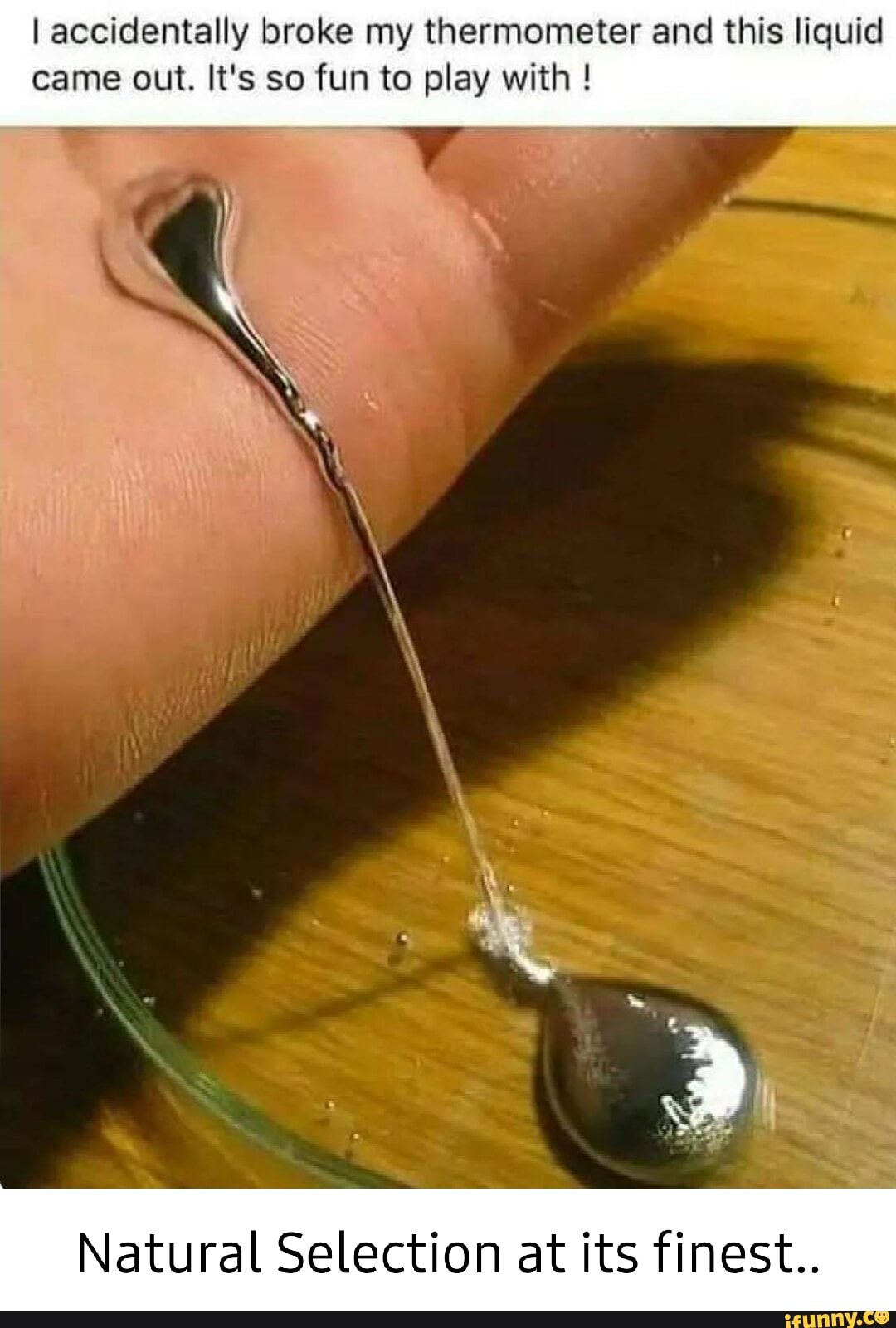 Thermometer memes. Best Collection of funny Thermometer pictures on iFunny