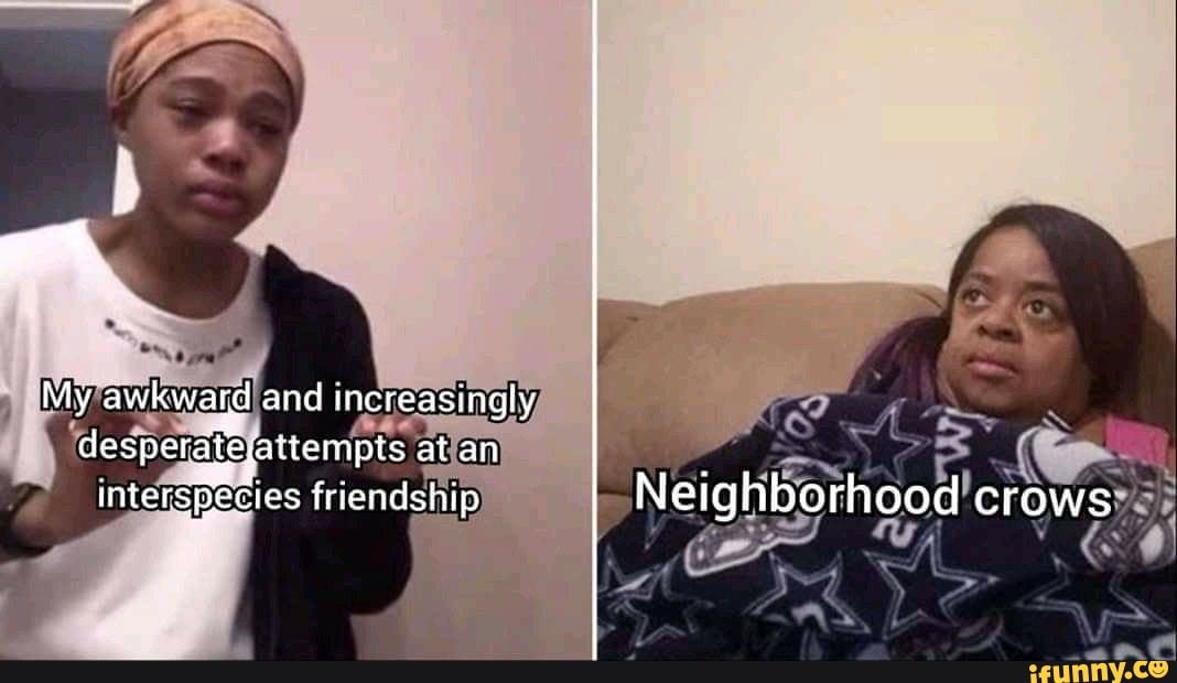 My awkward and increasingly desperatejattemnpts at an interspecies ...