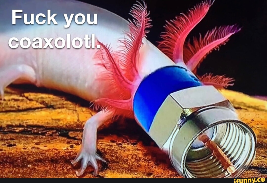 Picture memes K55yQzKzA by kooky_cadaver - iFunny