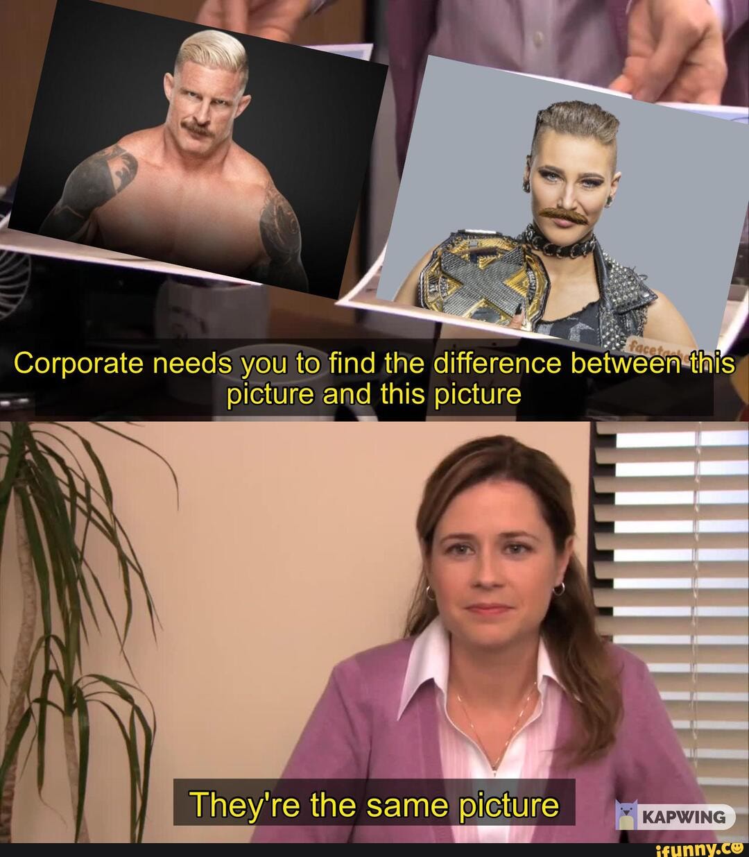 Corporate needs you to find the difference between*this picture and ...