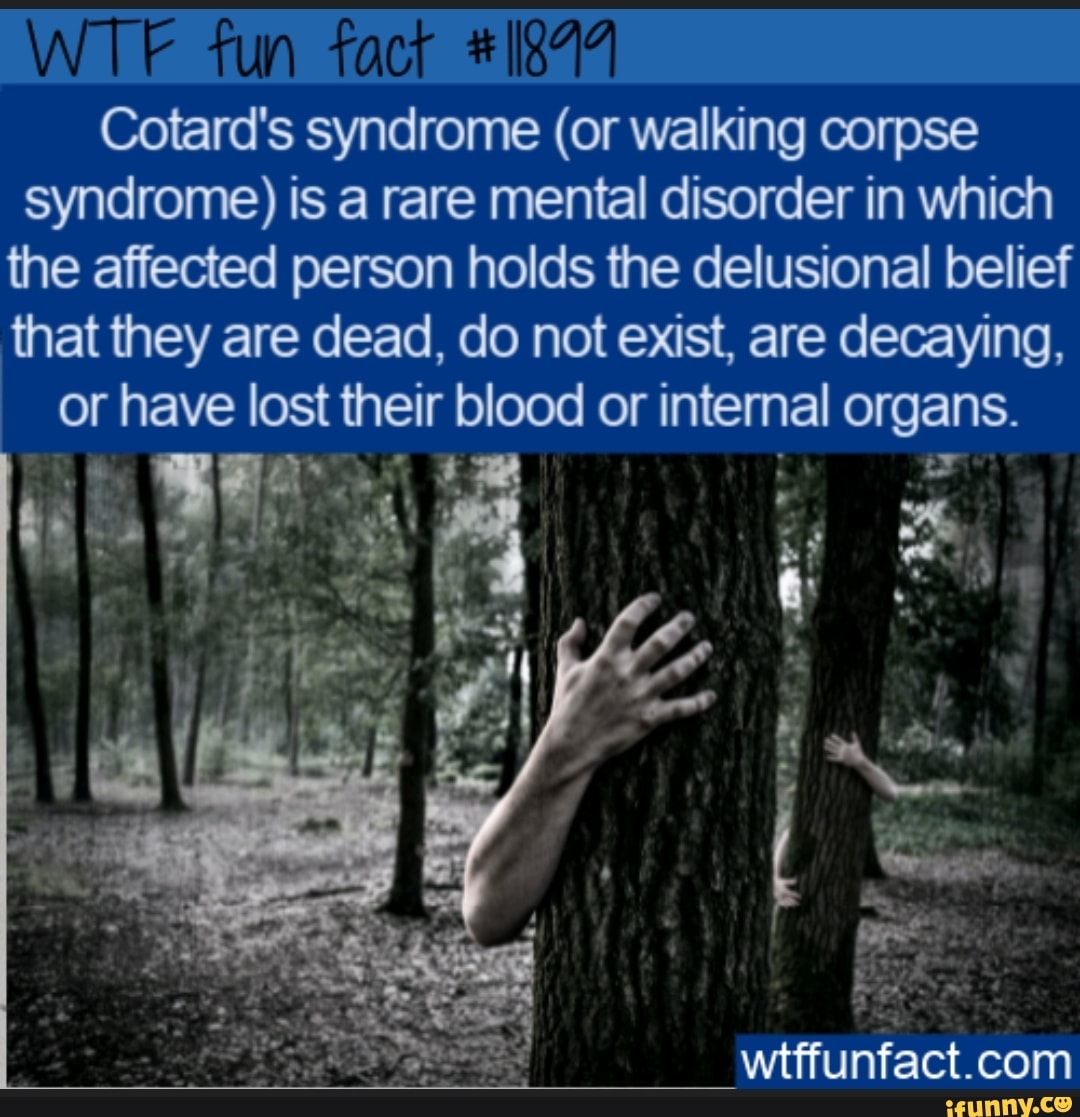 Cotards memes. Best Collection of funny Cotards pictures on iFunny