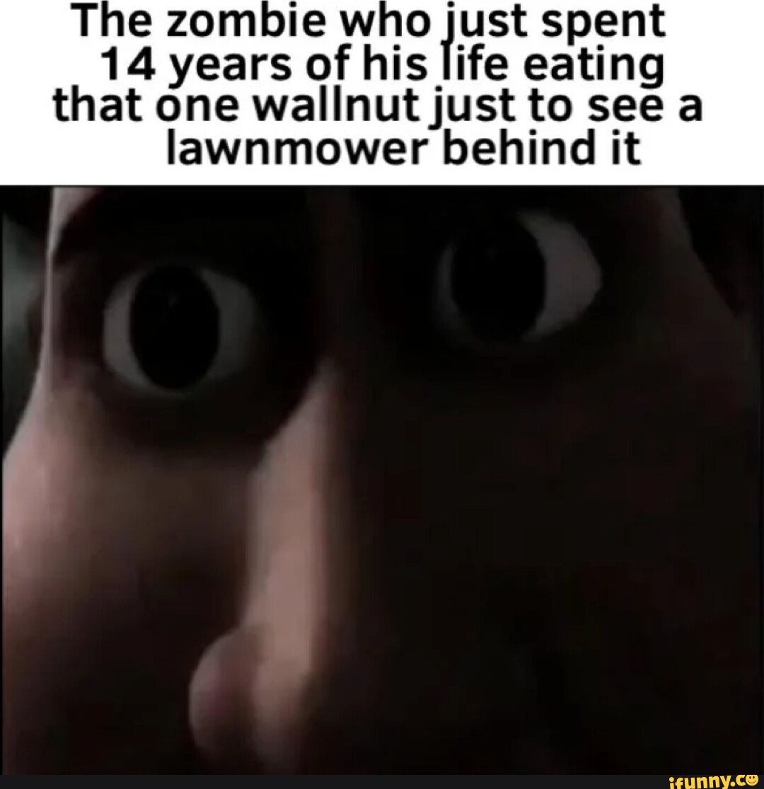 The zombie who just spent 14 years of his life eating that one wallnut ...