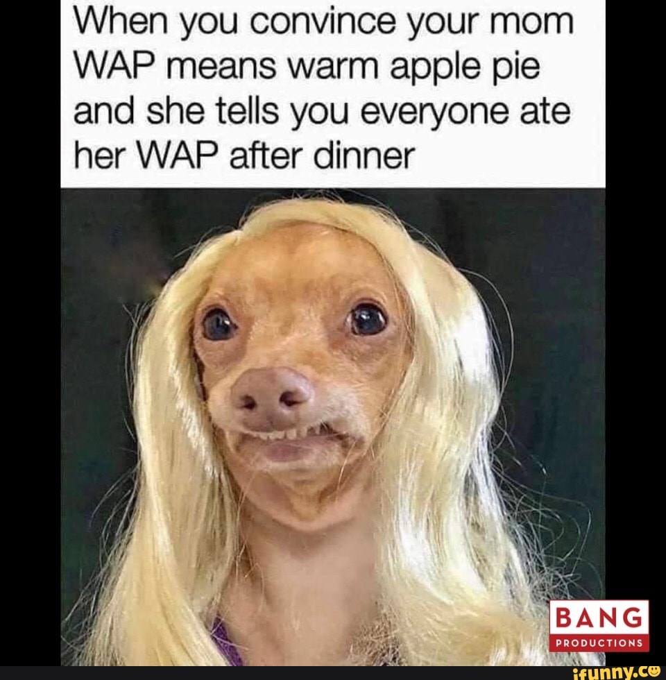 Dog Bangs Mom