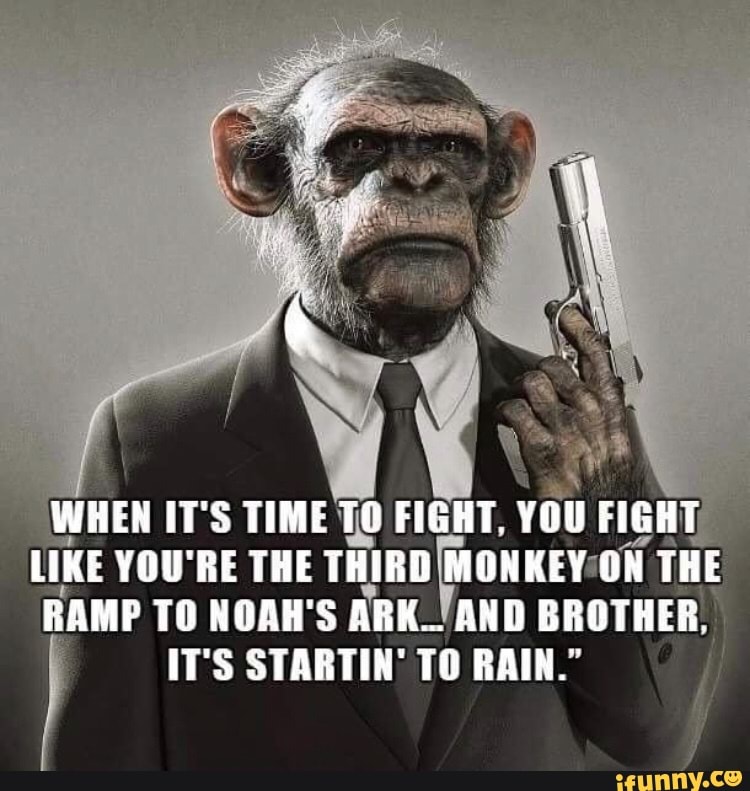 Kayflock memes. Best Collection of funny Kayflock pictures on iFunny