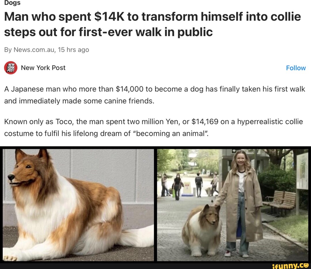 Dogs Man who spent to transform himself into collie steps out for first ...