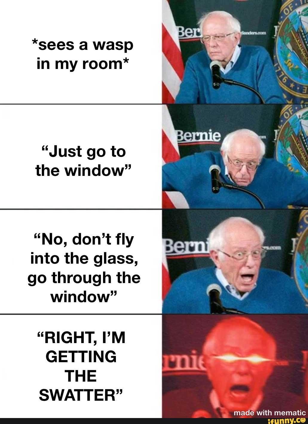 *sees a wasp in my room* "Just go to the window" "No, don't fly into ...