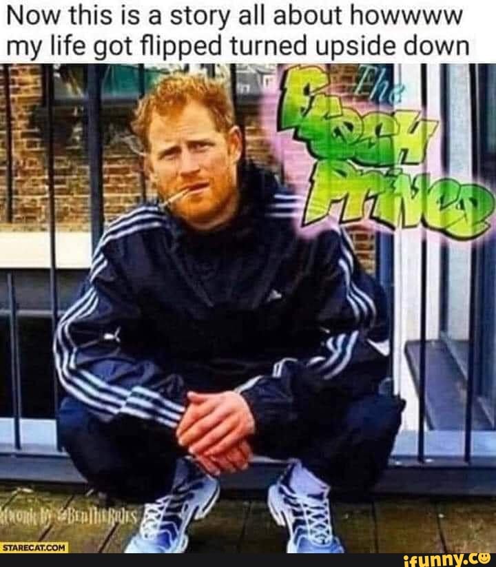 Howwww memes. Best Collection of funny Howwww pictures on iFunny