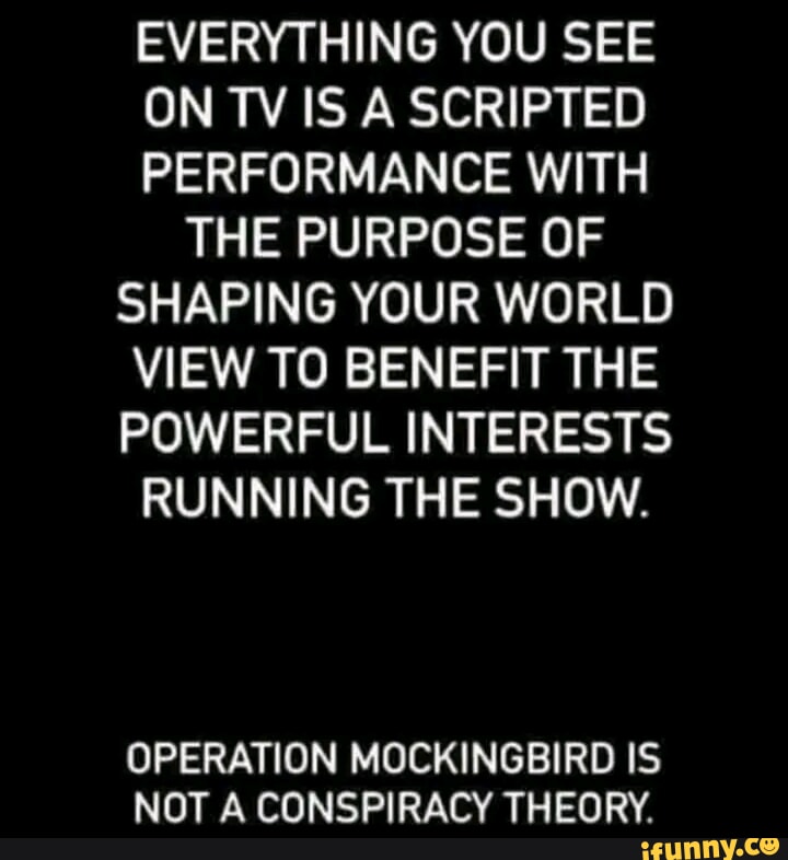 Mockingbird memes. Best Collection of funny Mockingbird pictures on iFunny