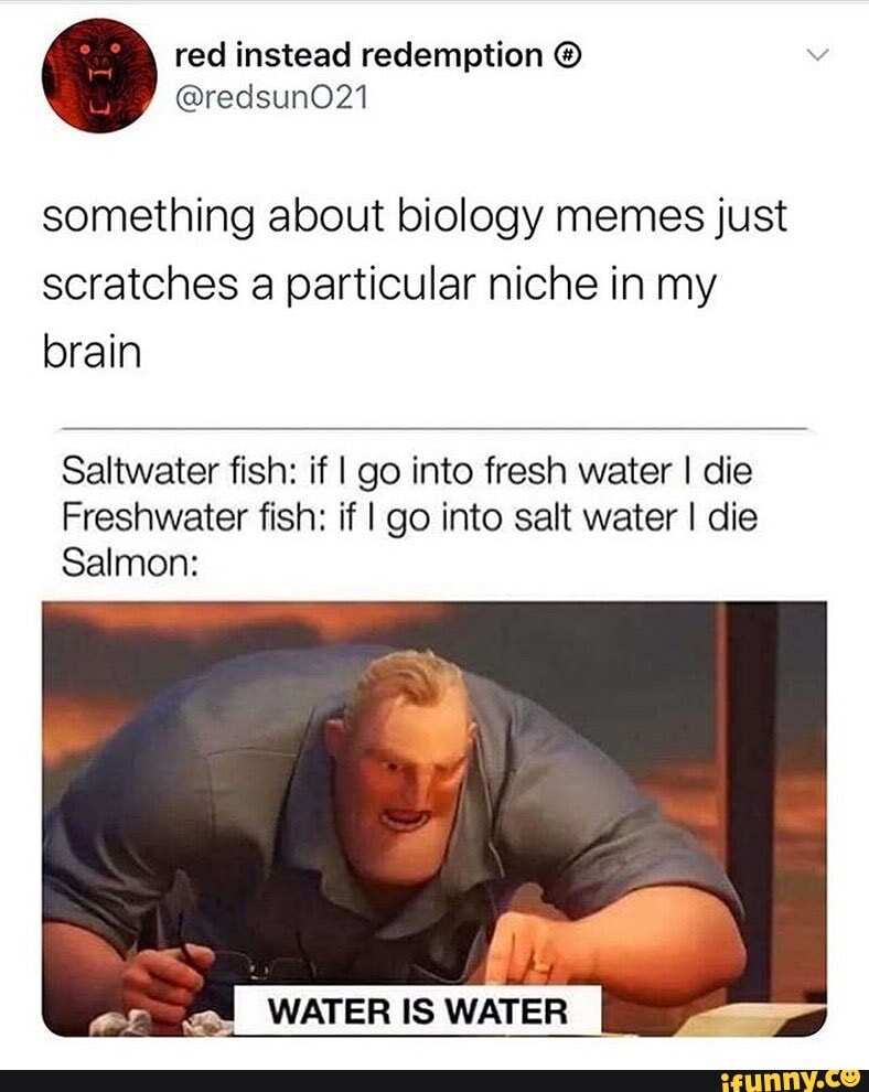 Red instead redemption something about biology memes just scratches a ...