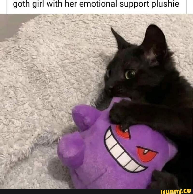 Goth girl with her emotional support plushie - iFunny