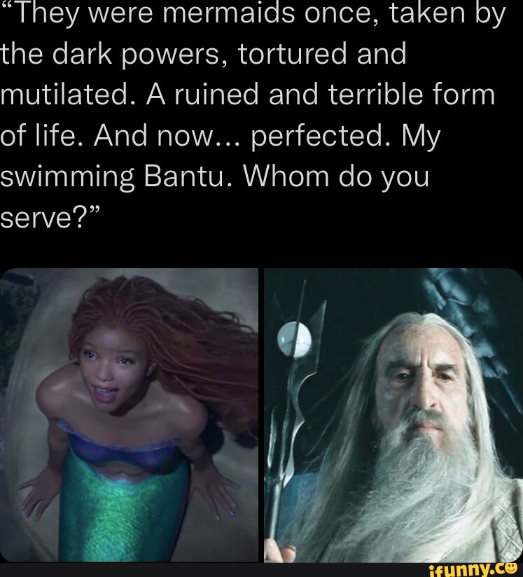 Mermaids memes. Best Collection of funny Mermaids pictures on iFunny