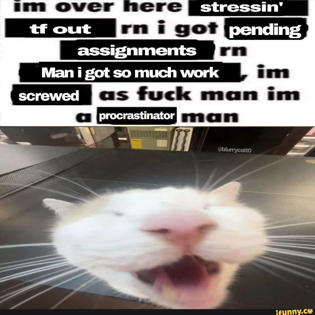 Video memes idZc388g7 by DemonShark172: 0.8K comments - iFunny