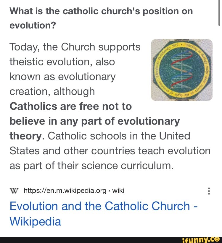 What is the catholic church's position on evolution? Today, the Church ...
