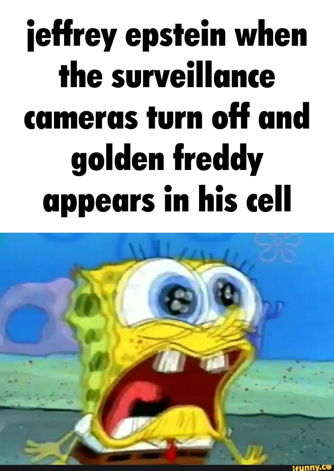 Jeffrey epstein when the surveillance cameras turn off and golden ...