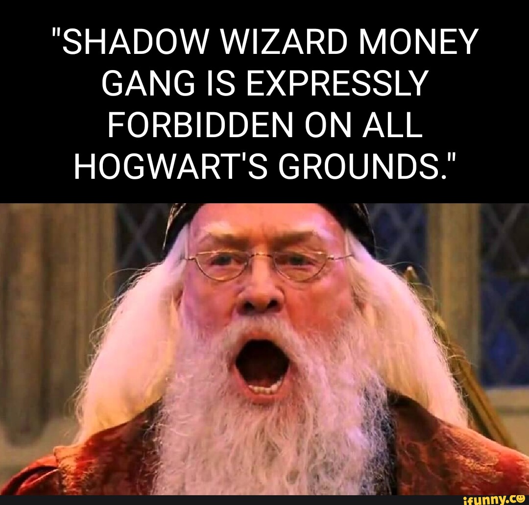 "SHADOW WIZARD MONEY GANG IS EXPRESSLY FORBIDDEN ON ALL HOGWARTS ...