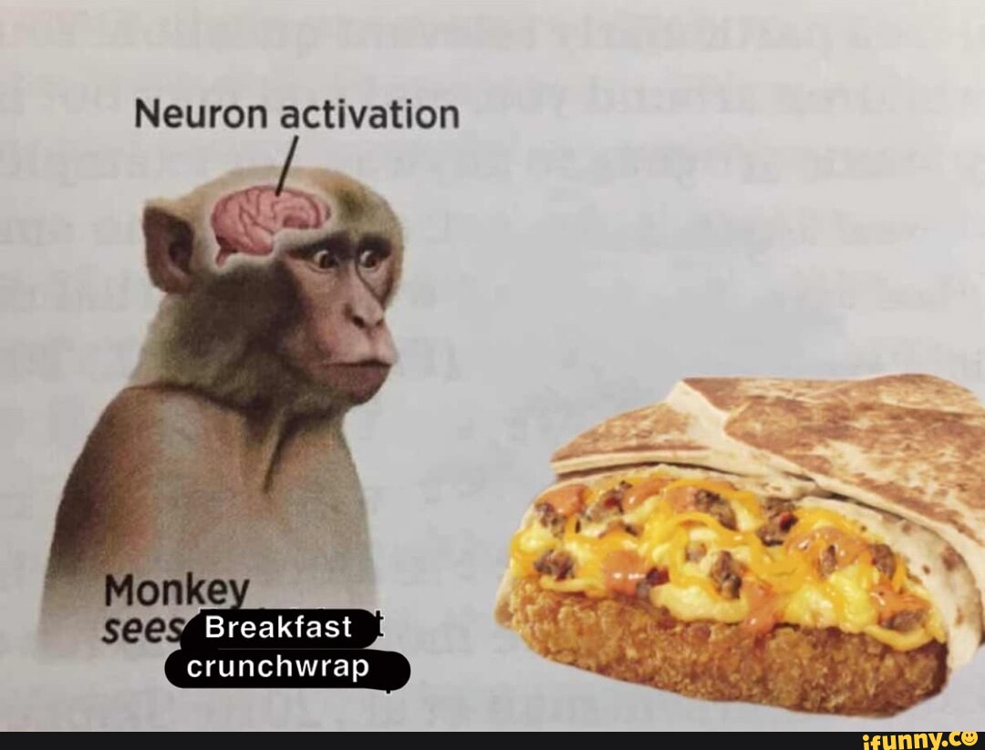 Neuron activation Monkey Breakfast ( crunchwrap - iFunny