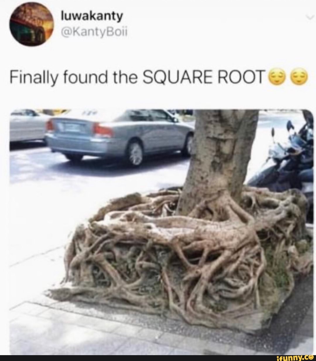 Finally found the SQUARE ROOT - iFunny