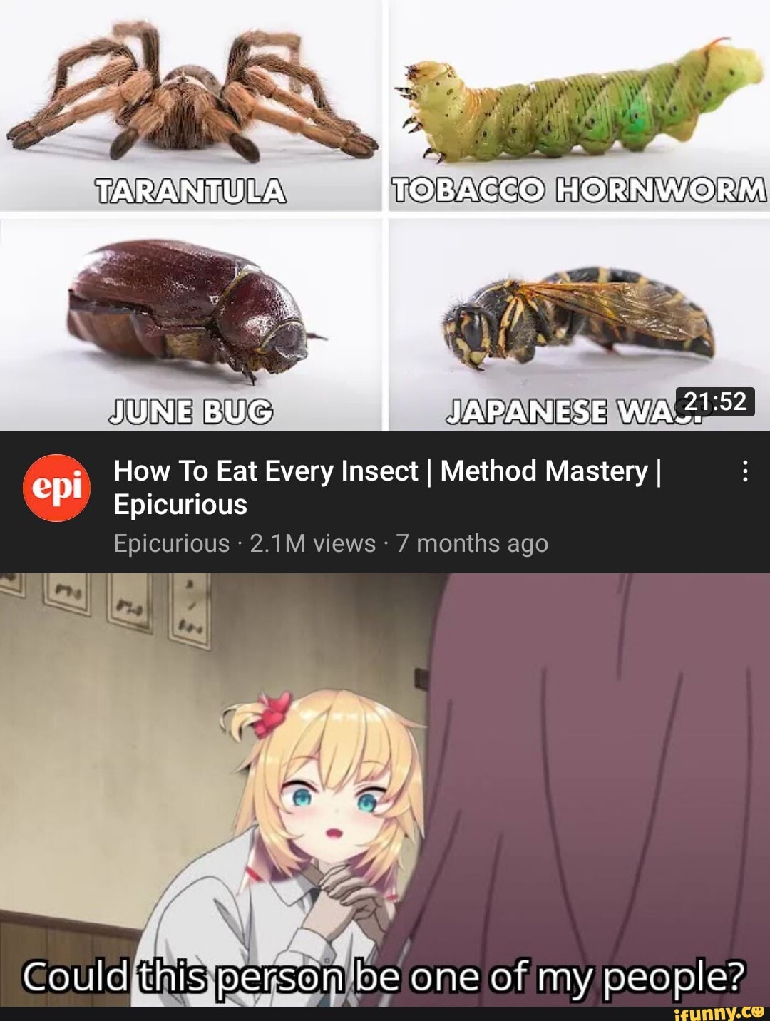 Hornworm memes. Best Collection of funny Hornworm pictures on iFunny