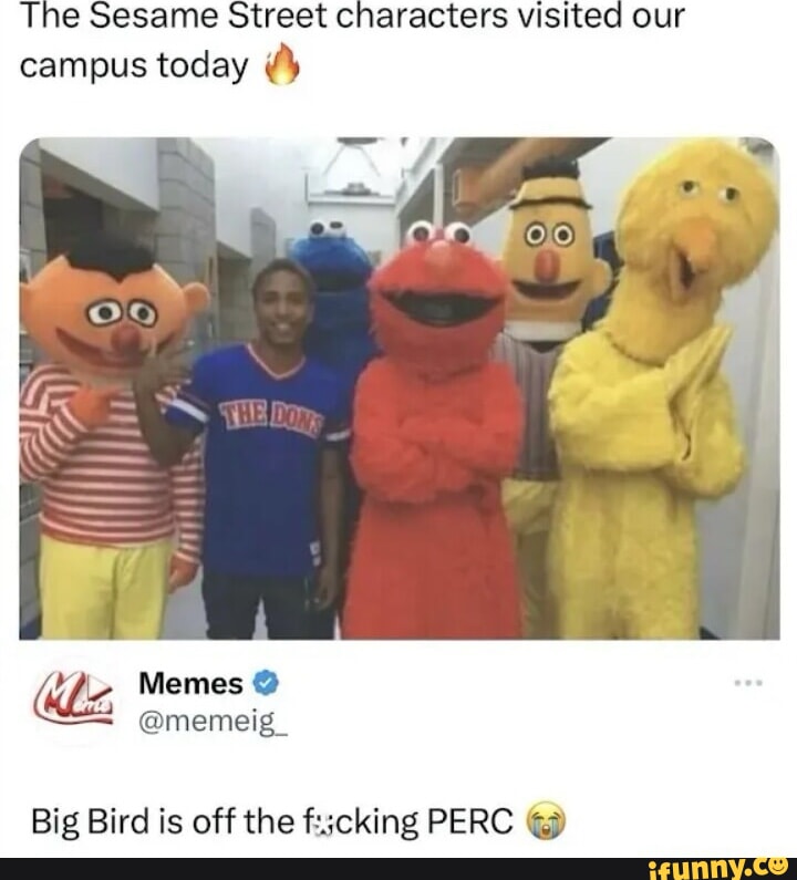 The Sesame Street characters visited our campus today Memes Big Bird is ...