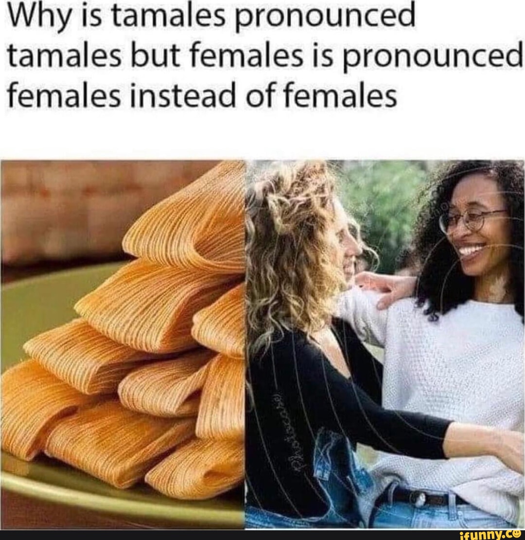 Tamales memes. Best Collection of funny Tamales pictures on iFunny