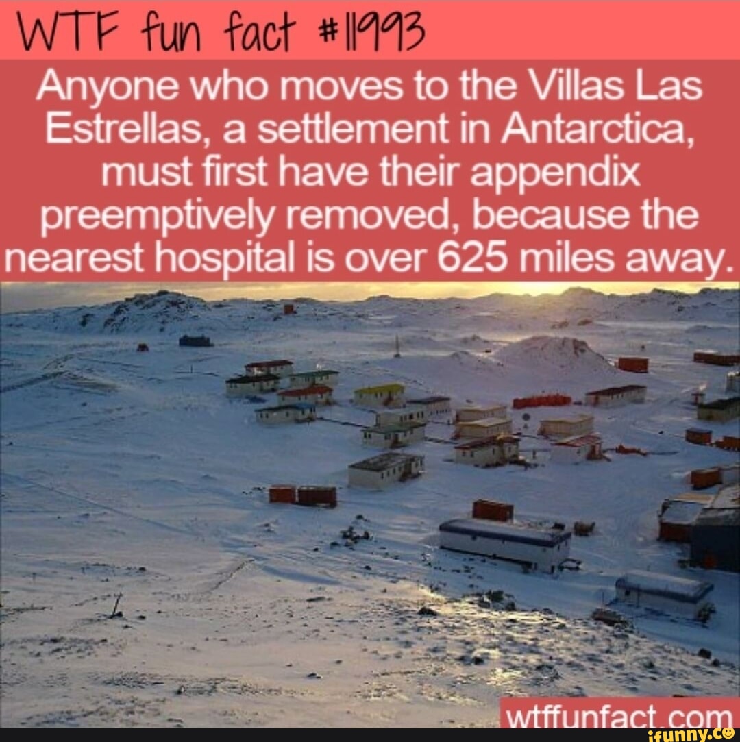 Estrellas memes. Best Collection of funny Estrellas pictures on iFunny