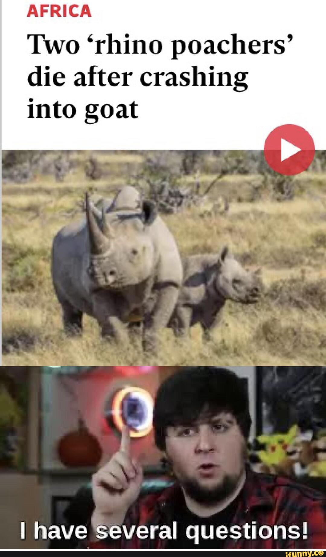 Two 'rhino poachers' die after crashing into goat have Several ...