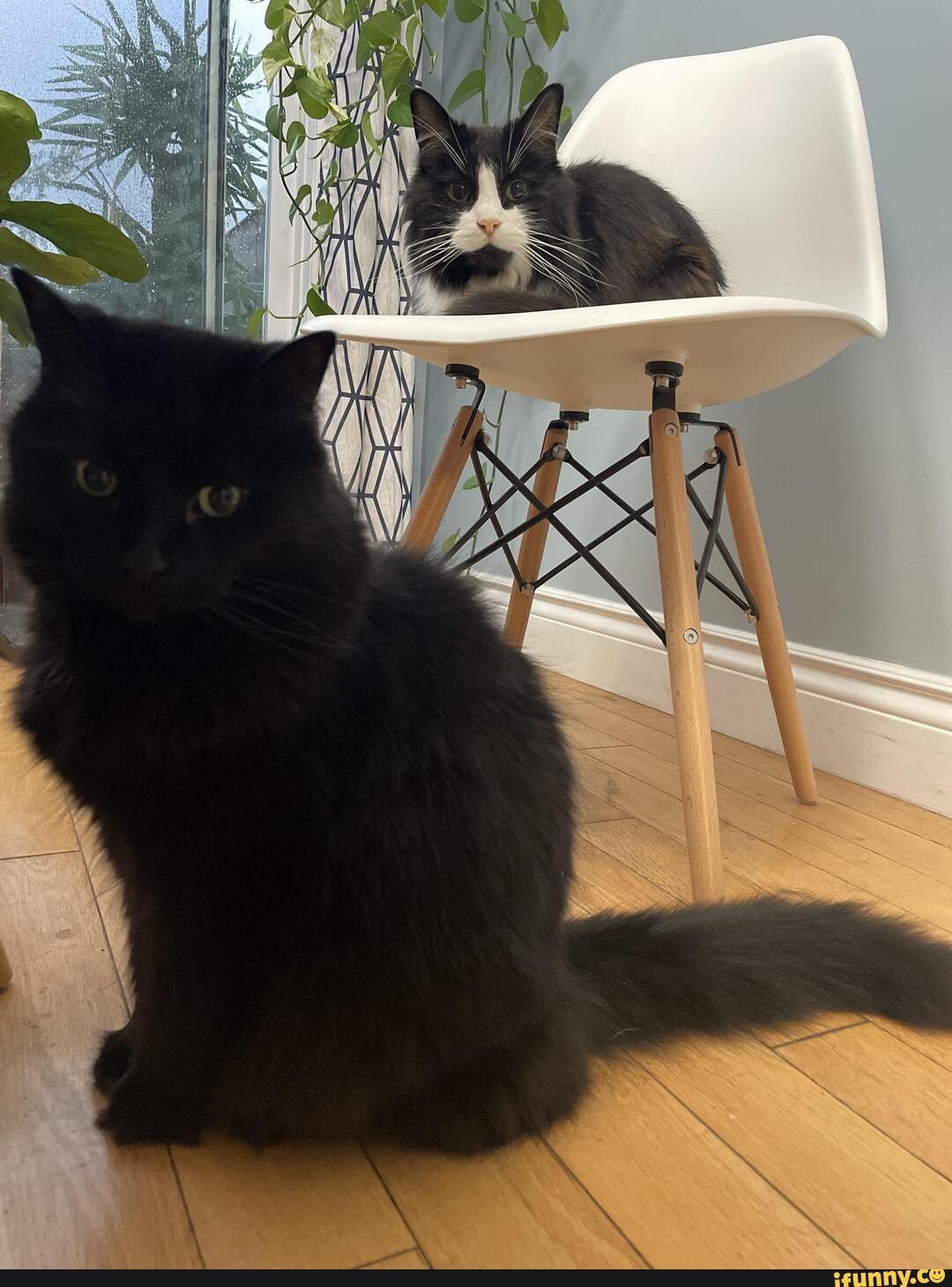 Tawt memes. Best Collection of funny Tawt pictures on iFunny